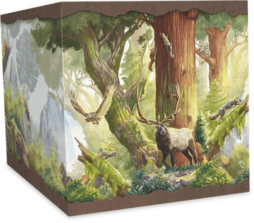 Redwood The Big Box All In NL - Koning Bordspel